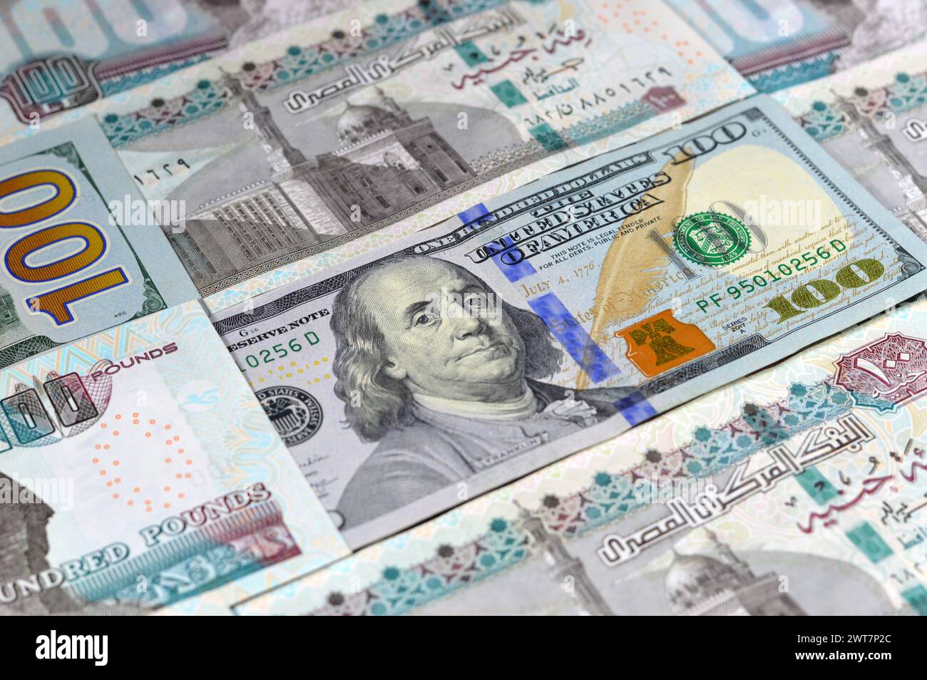 Egyptian money banknotes of 100 EGP LE one hundred pounds bill and USD ...