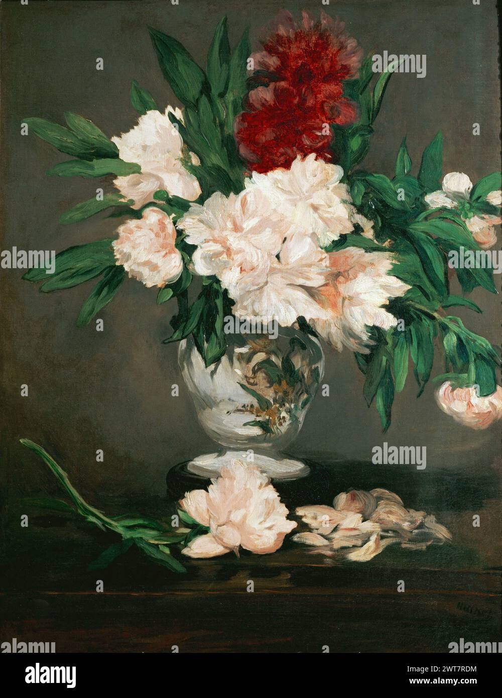 Vase with peonies Édouard Manet (1832-1883 Stock Photo - Alamy