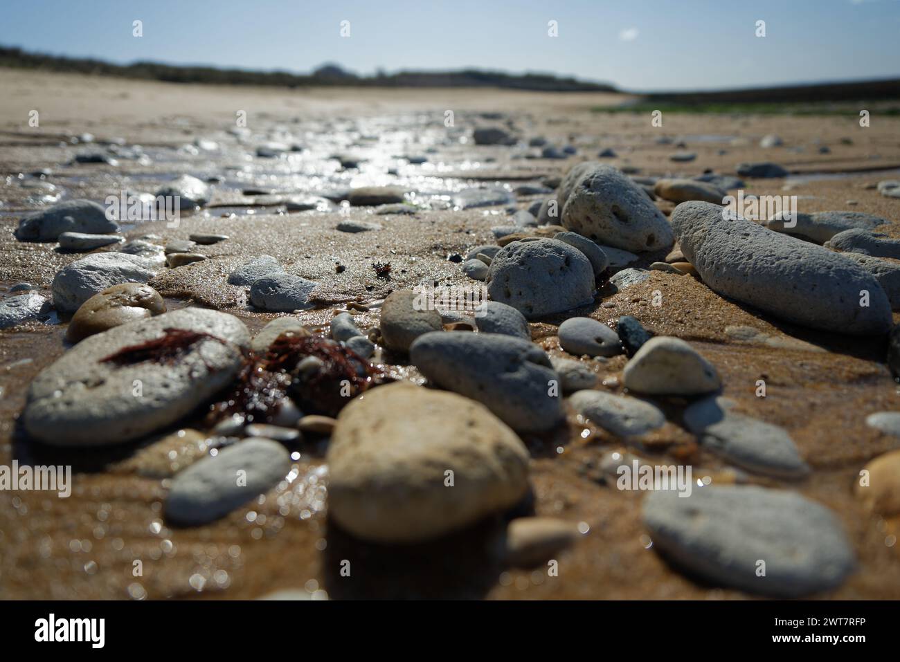 Beachside pebble on the sand, Atlantic Ocean Stock Photo - Alamy