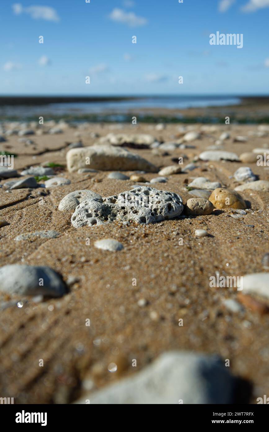 Beachside story hi-res stock photography and images - Alamy