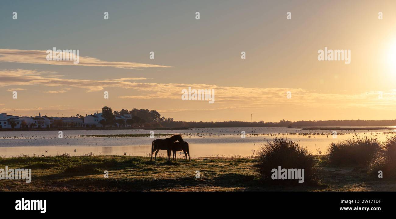 Travel Spain Andalusia nature environment and important national parks ...