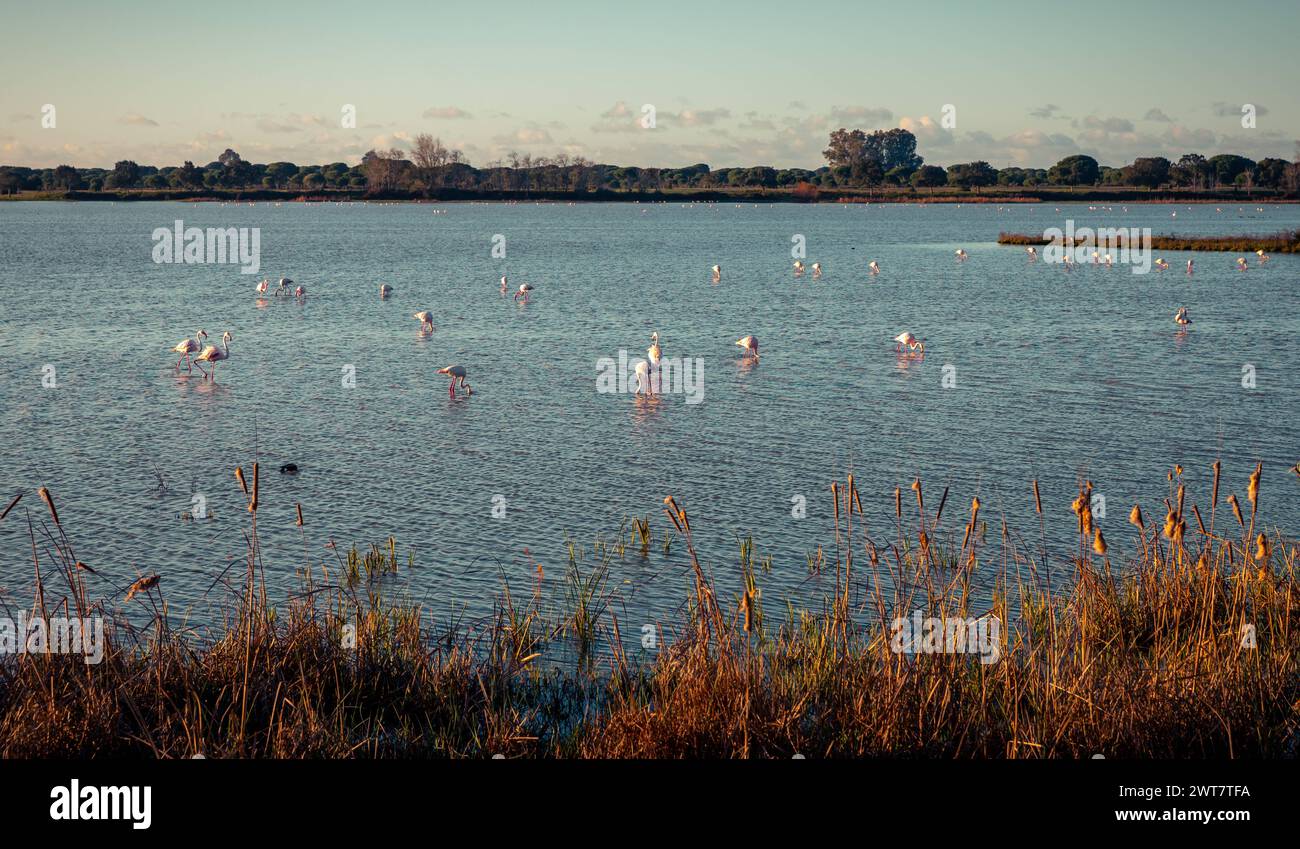 Travel Spain Andalusia nature environment and important national parks ...
