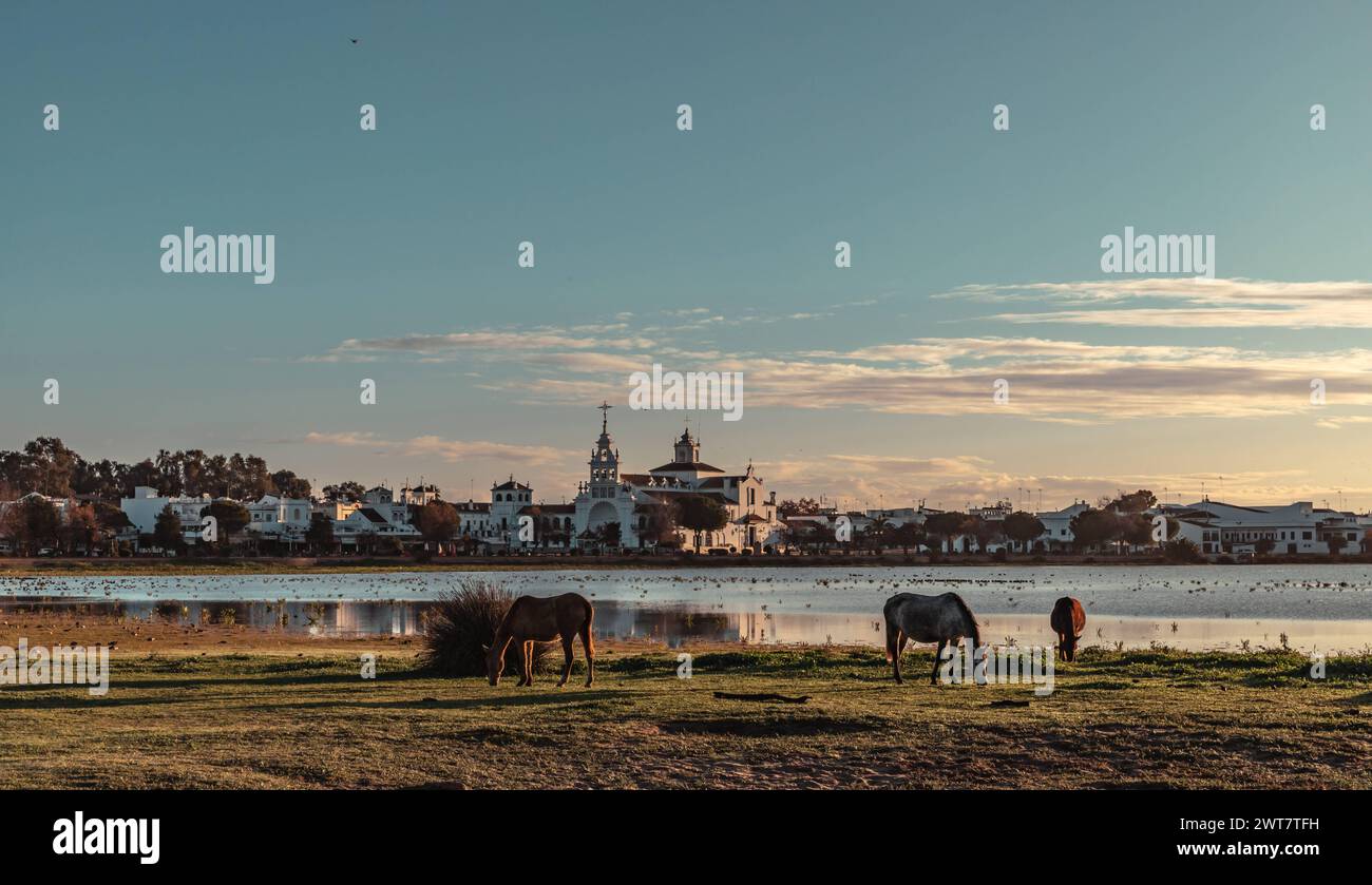 Travel Spain Andalusia nature environment and important national parks ...