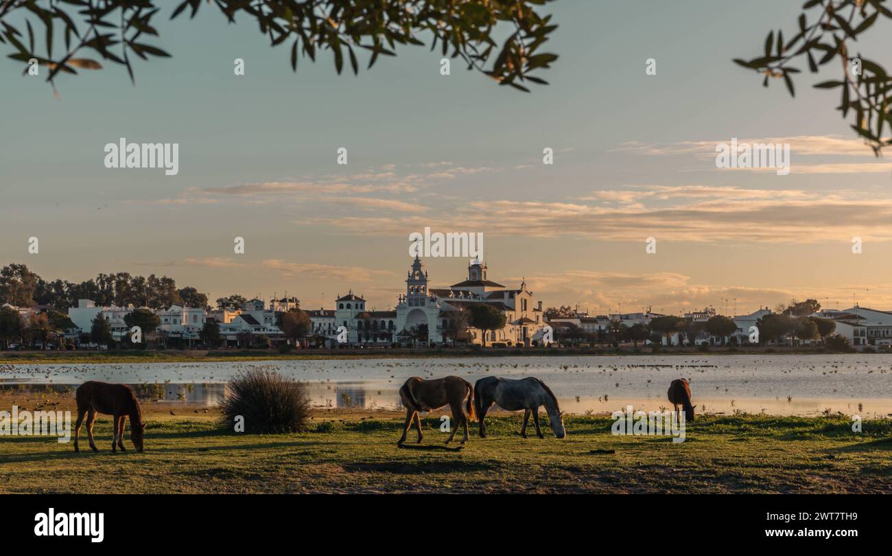 Travel Spain Andalusia nature environment and important national parks ...