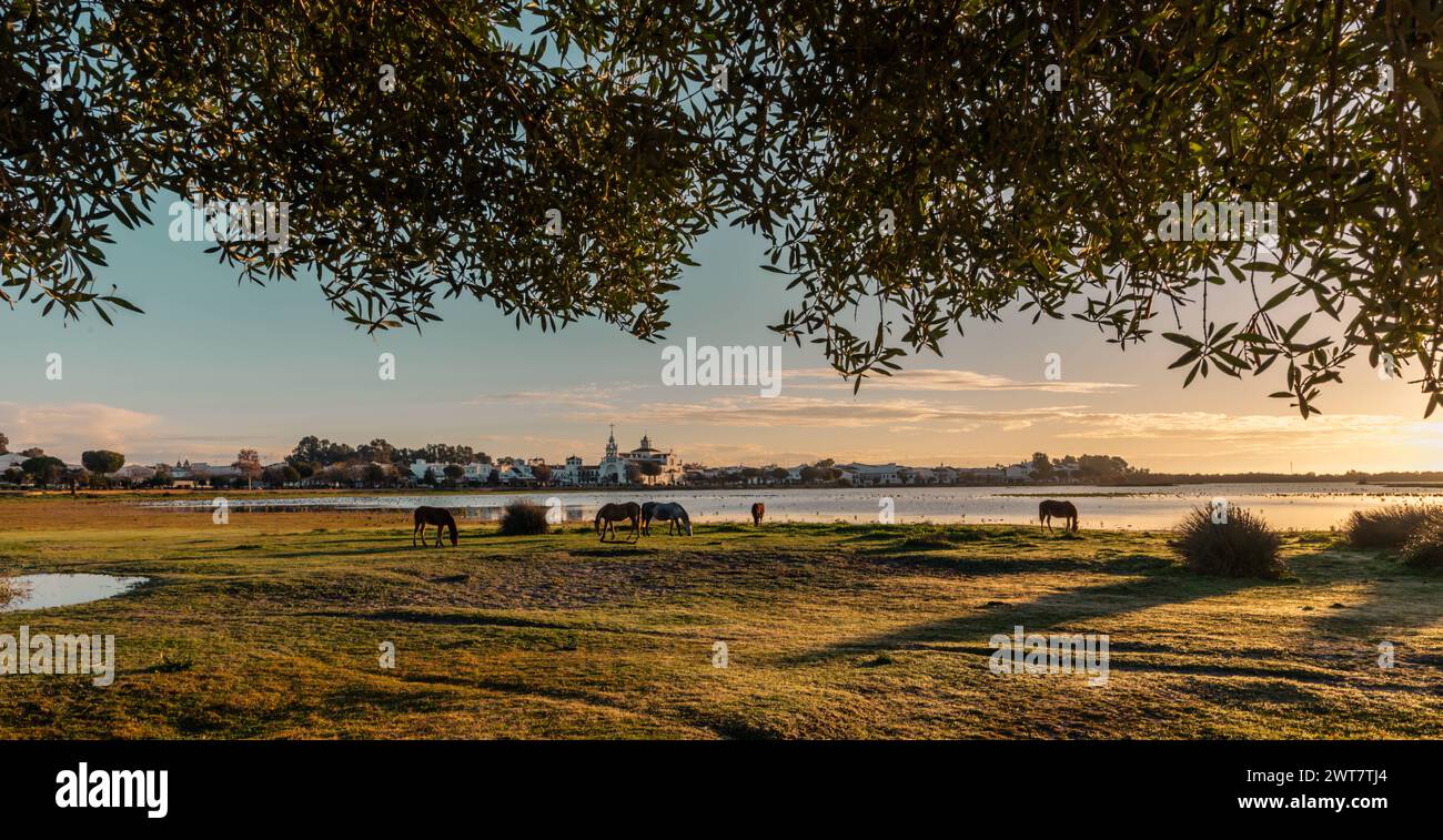 Travel Spain Andalusia nature environment and important national parks ...