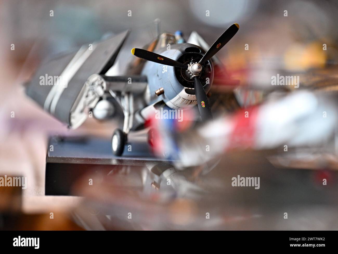 Jihlava, Czech Republic. 16th Mar, 2024. Traditional spring modeling ...