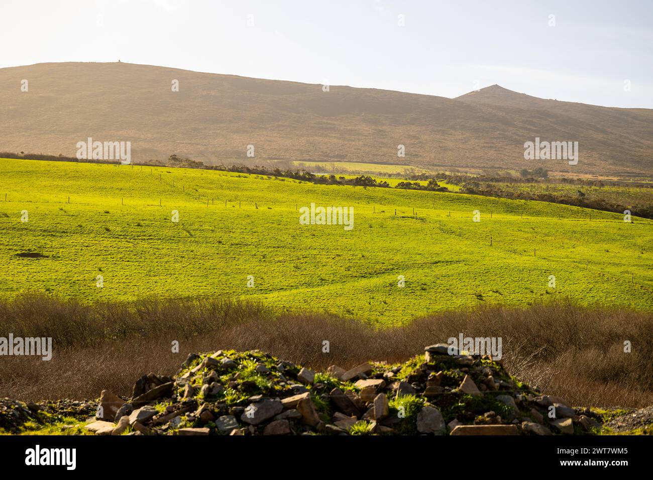 Slea Head Drive, Dingle Peninsula, Ireland Stock Photo - Alamy