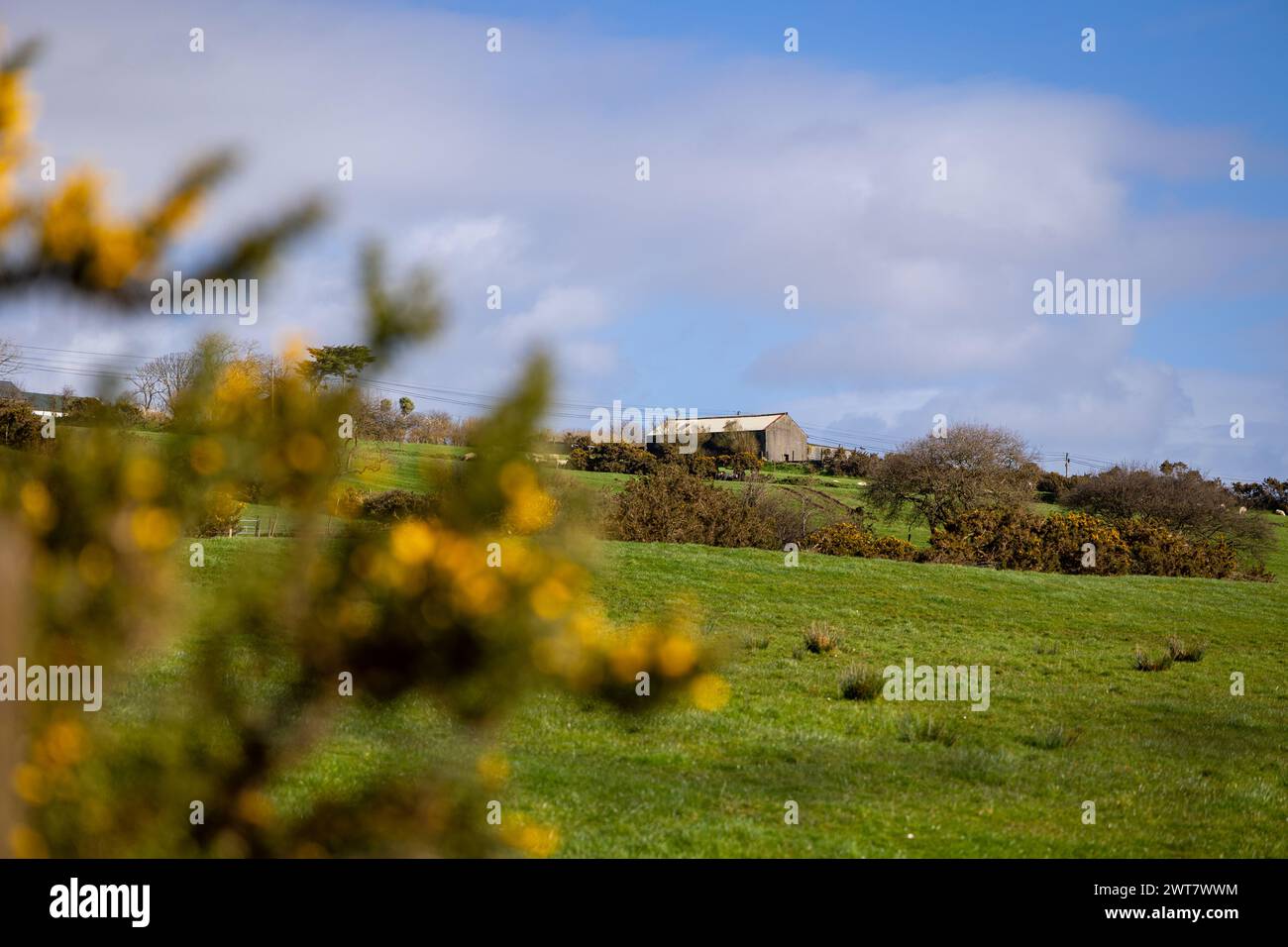 Slea Head Drive, Dingle Peninsula, Ireland Stock Photo - Alamy