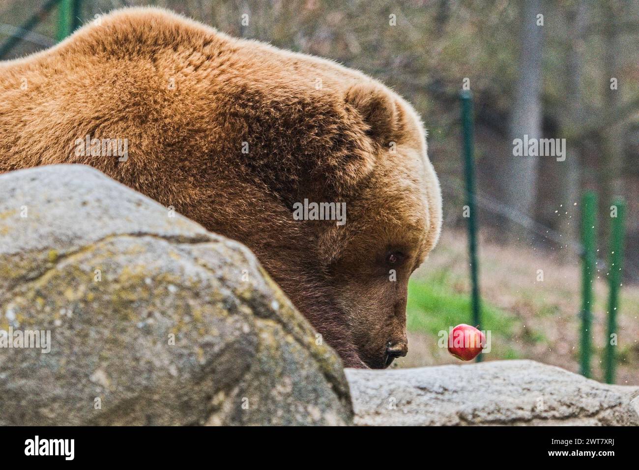 Brno, Czech Republic. 16th Mar, 2024. People enjoy event Welcome spring ...