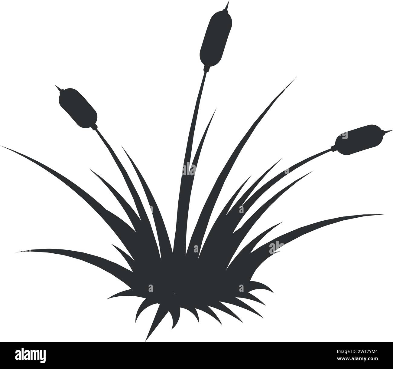 Reed icon. Growing swamp plant black silhouette Stock Vector Image ...