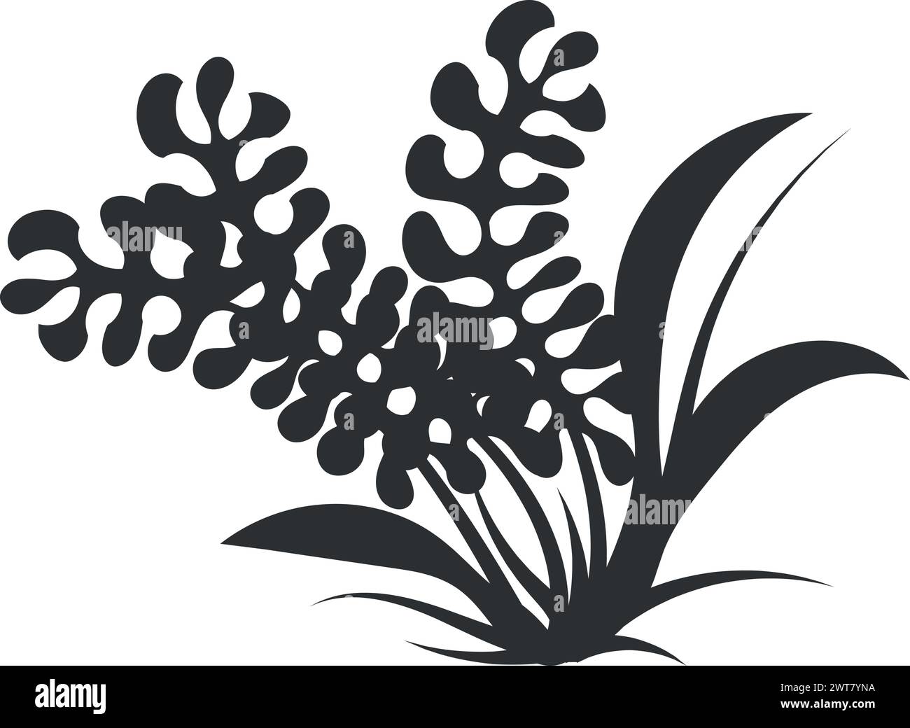 Wild plant icon. Black herb. Nature symbol Stock Vector Image & Art - Alamy