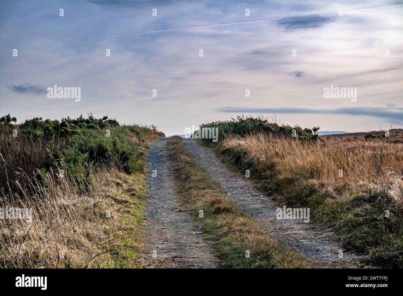 The bog road to the Loughderryduff windfarm is producing between Ardara ...
