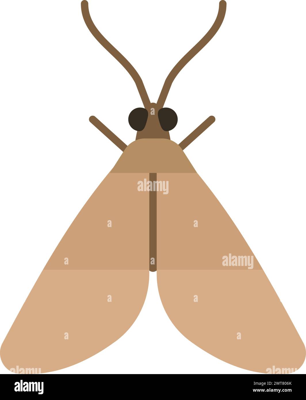 Moth color icon. Flying insect. Nature symbol Stock Vector Image & Art ...