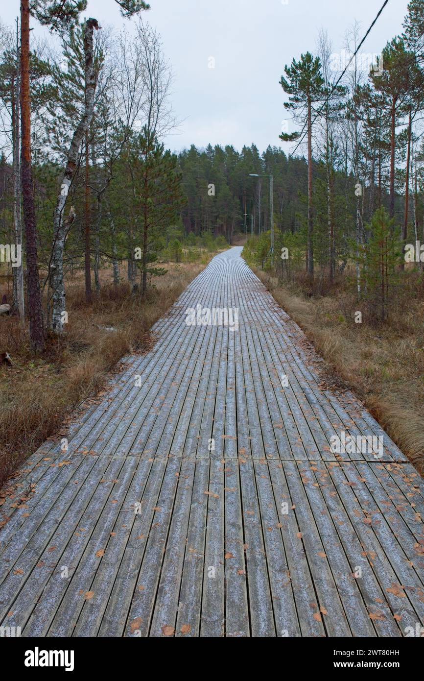 Road through swamp hi-res stock photography and images - Alamy