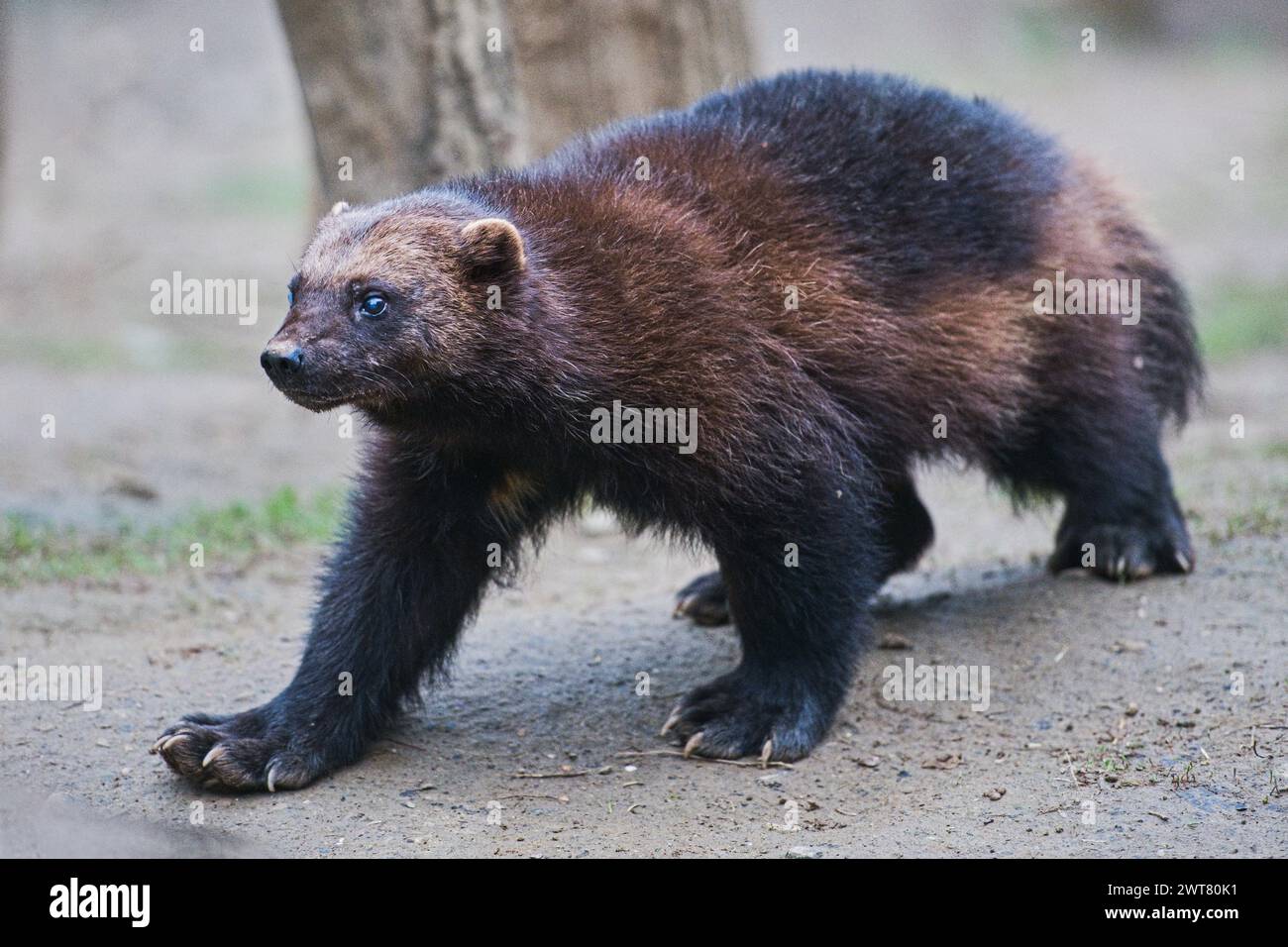 Enjoy event hi-res stock photography and images - Alamy