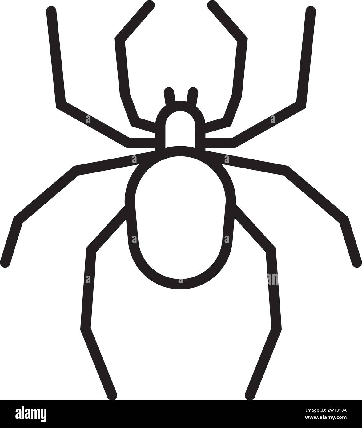 Spider linear icon. Black outline insect symbol Stock Vector Image ...