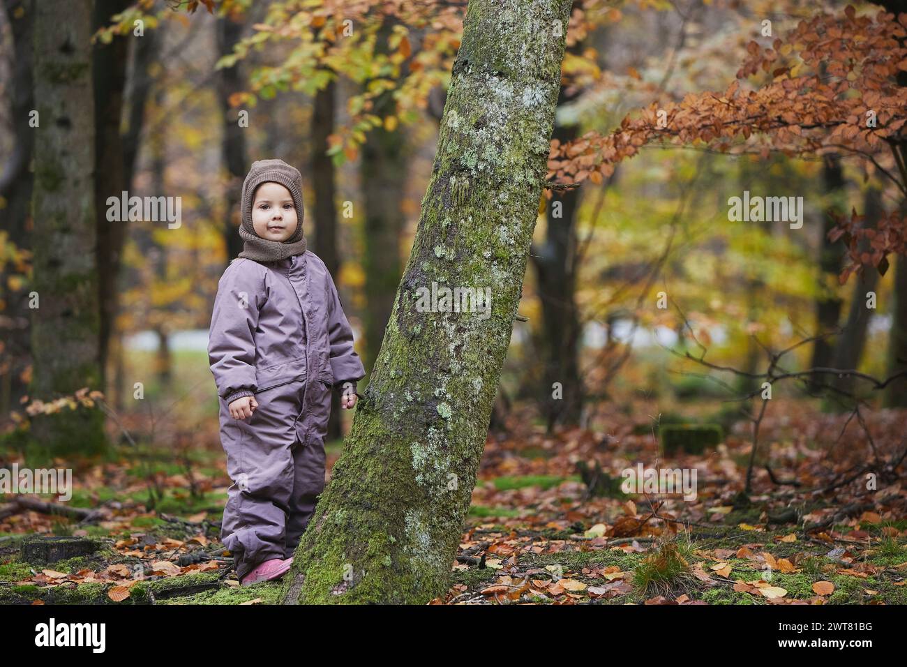 Beautiful child in the forest in Denmark Stock Photo - Alamy