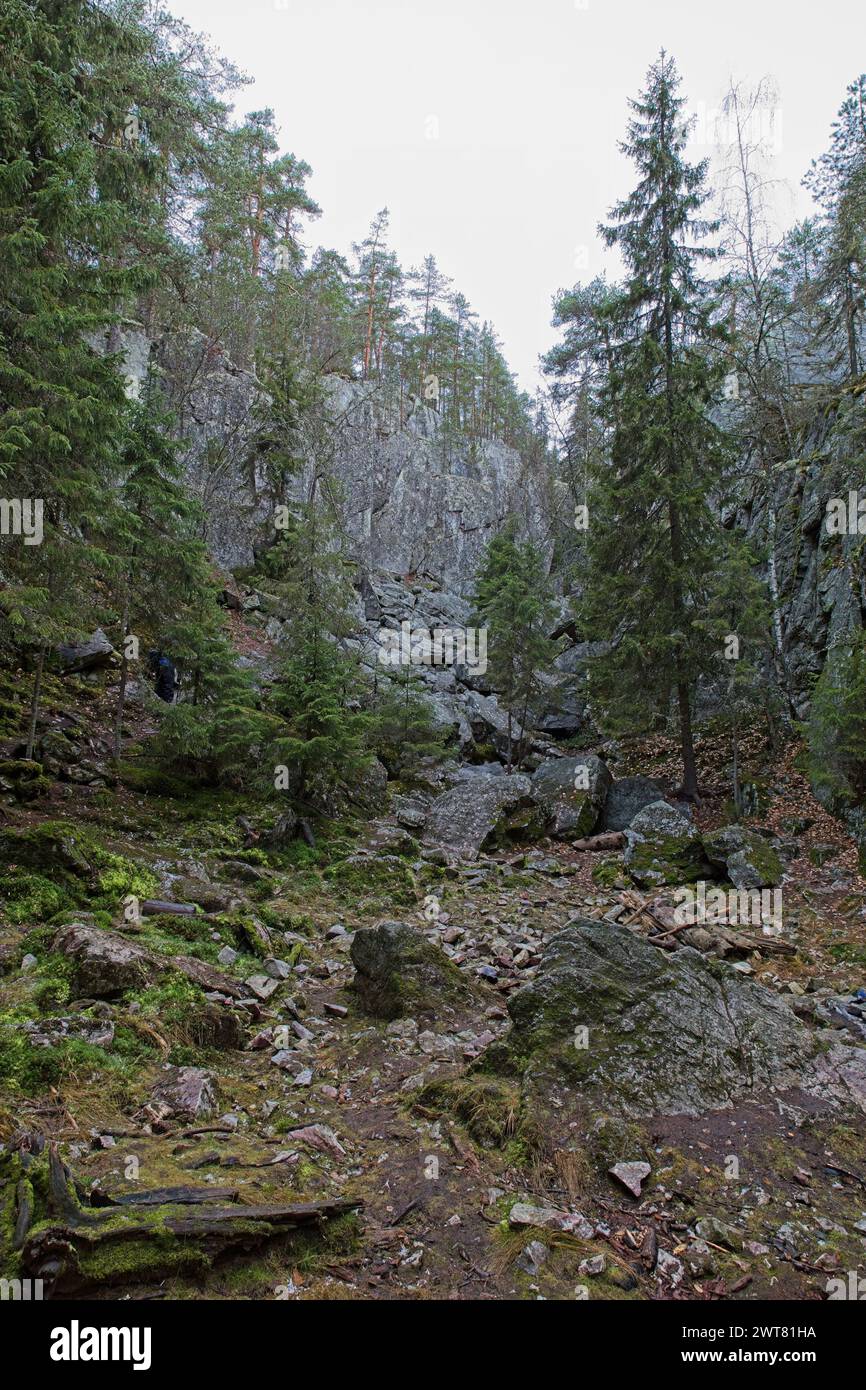 Pirunpesä (Devil´s Nest) is a gorge cutting through the quartzite ...