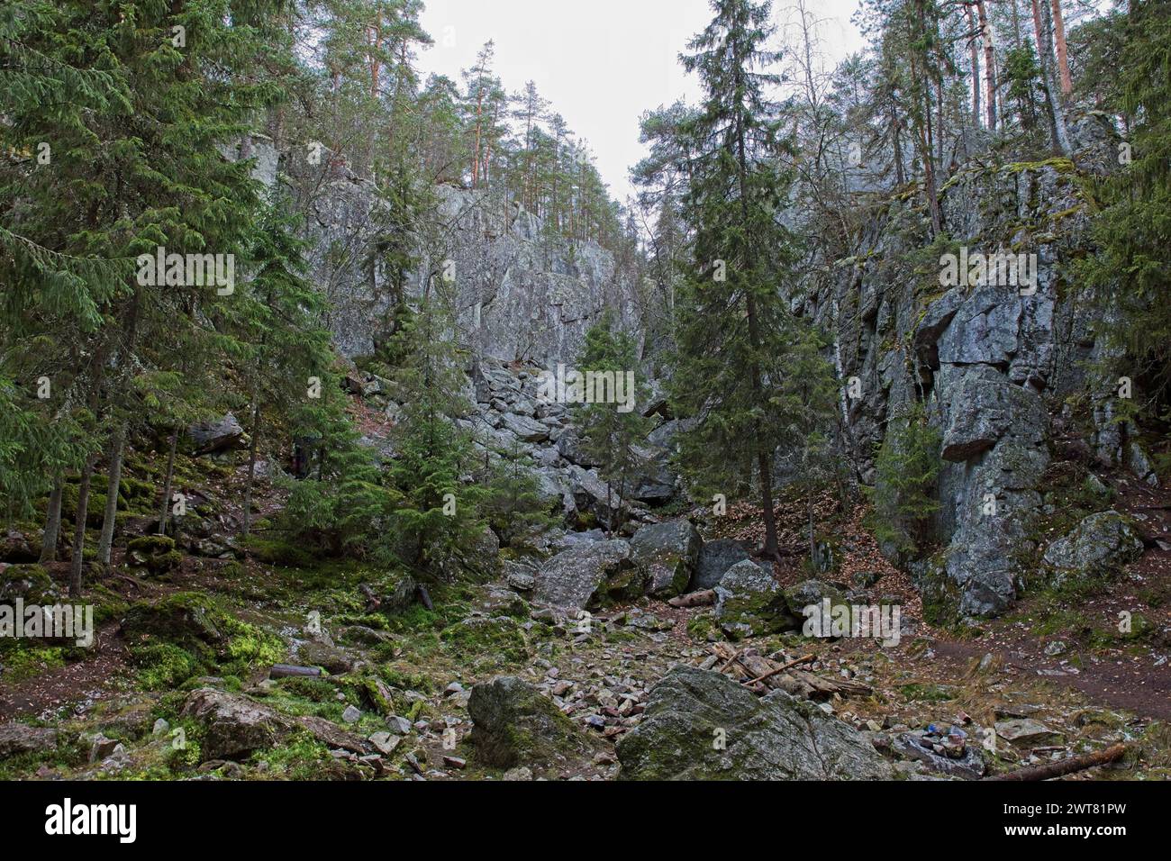 Pirunpesä (Devil´s Nest) is a gorge cutting through the quartzite ...