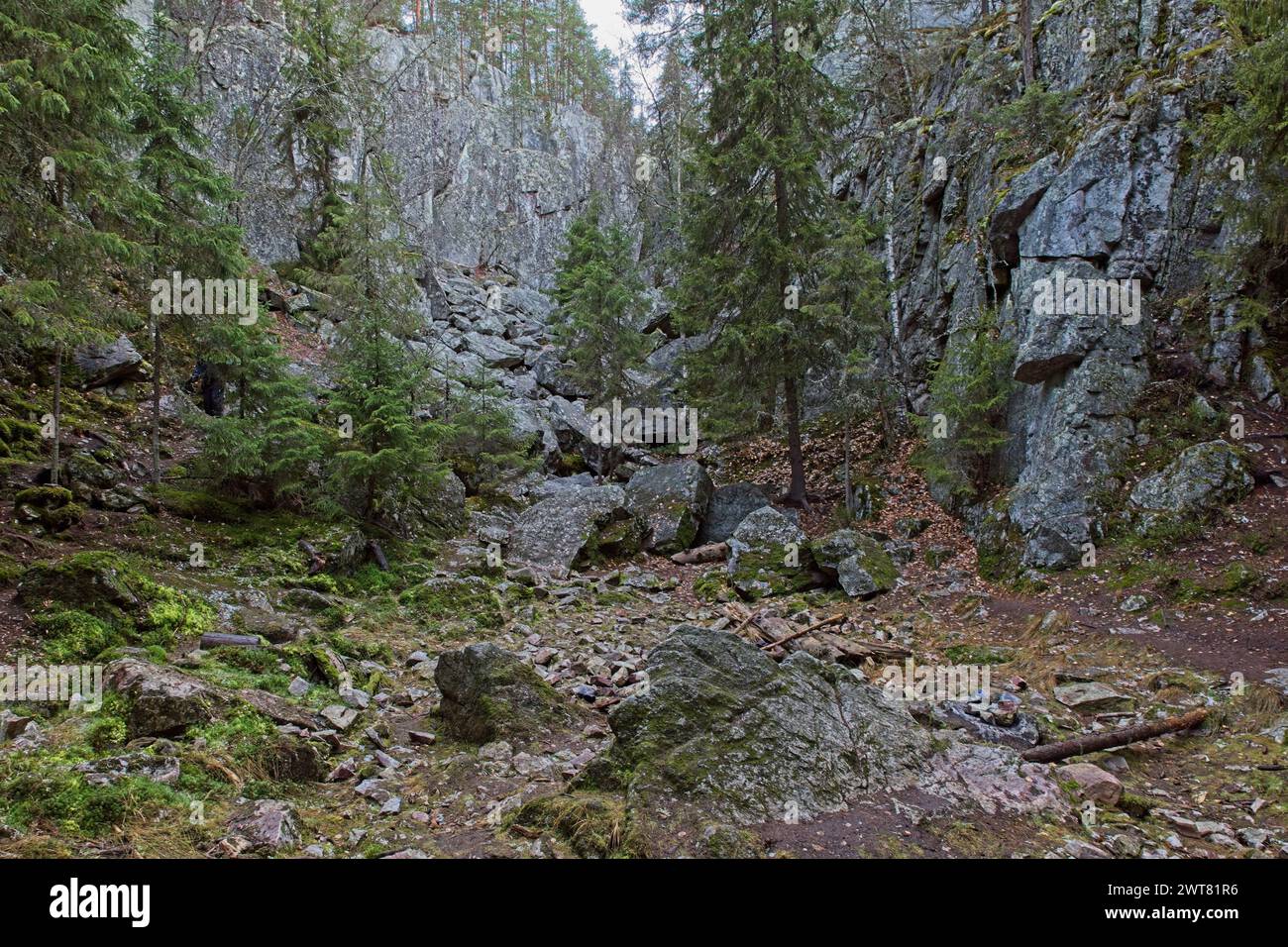 Pirunpesä (Devil´s Nest) is a gorge cutting through the quartzite ...