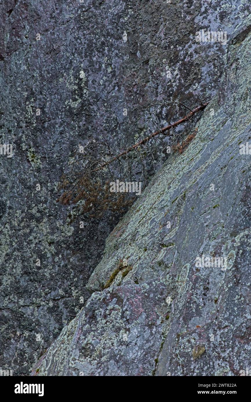 Pirunpesä (Devil´s Nest) is a gorge cutting through the quartzite ...