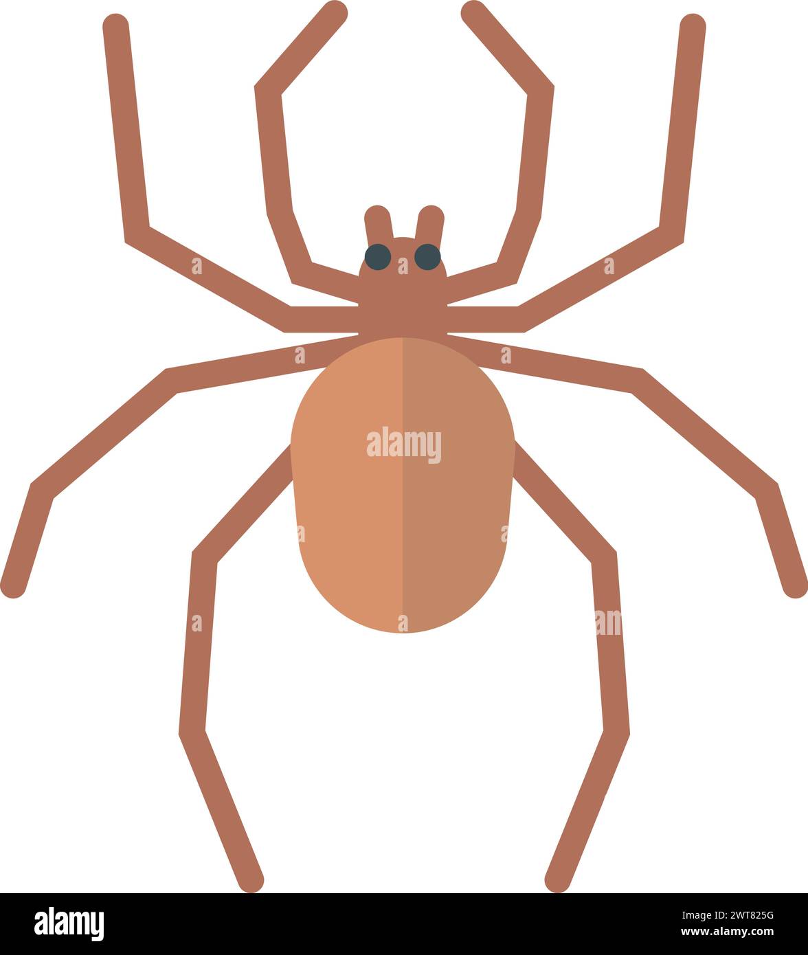 Spider icon. Arachnid animal symbol. Small insect Stock Vector Image ...