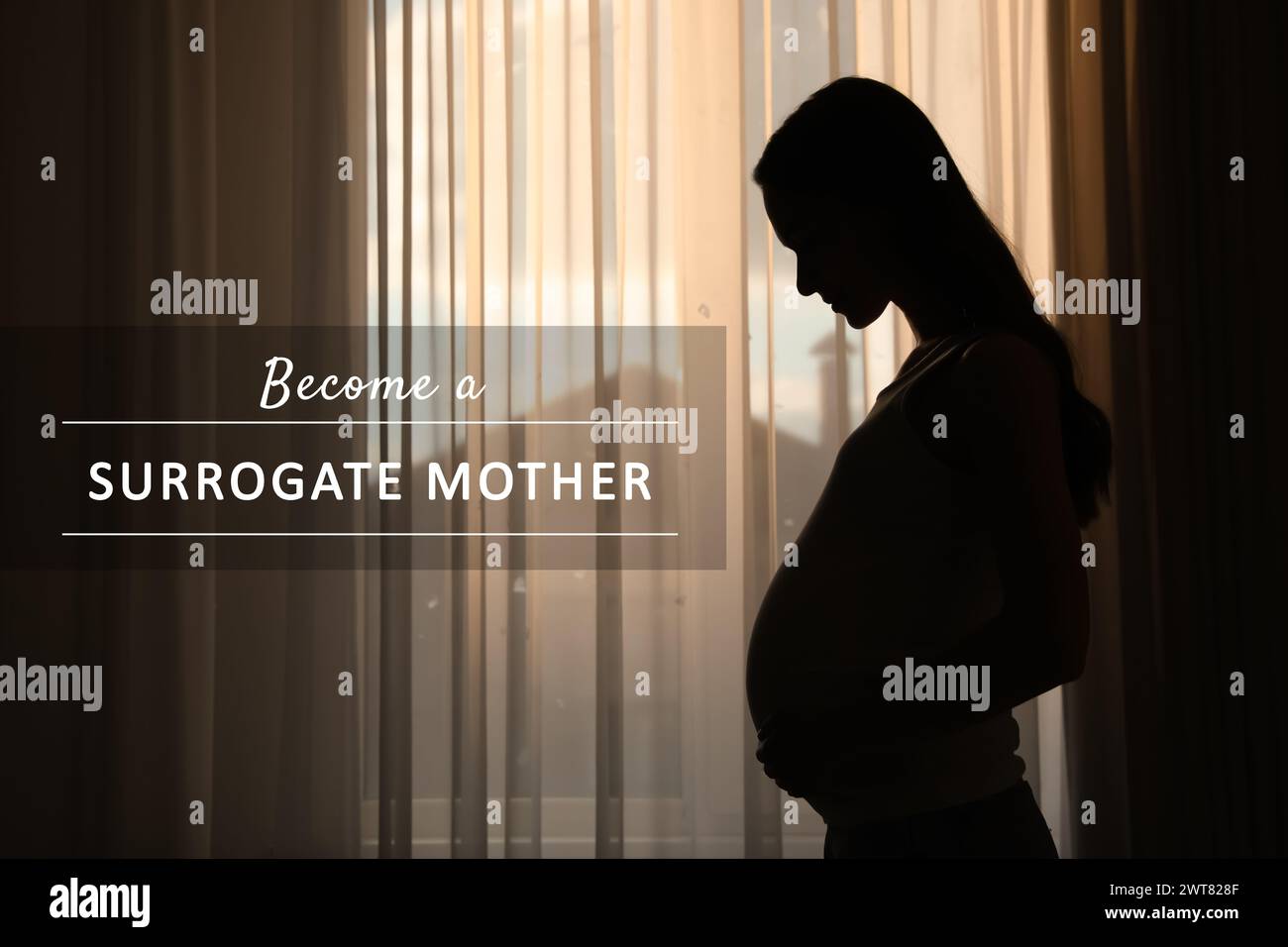 Surrogate mother. Silhouette of pregnant woman near window indoors ...