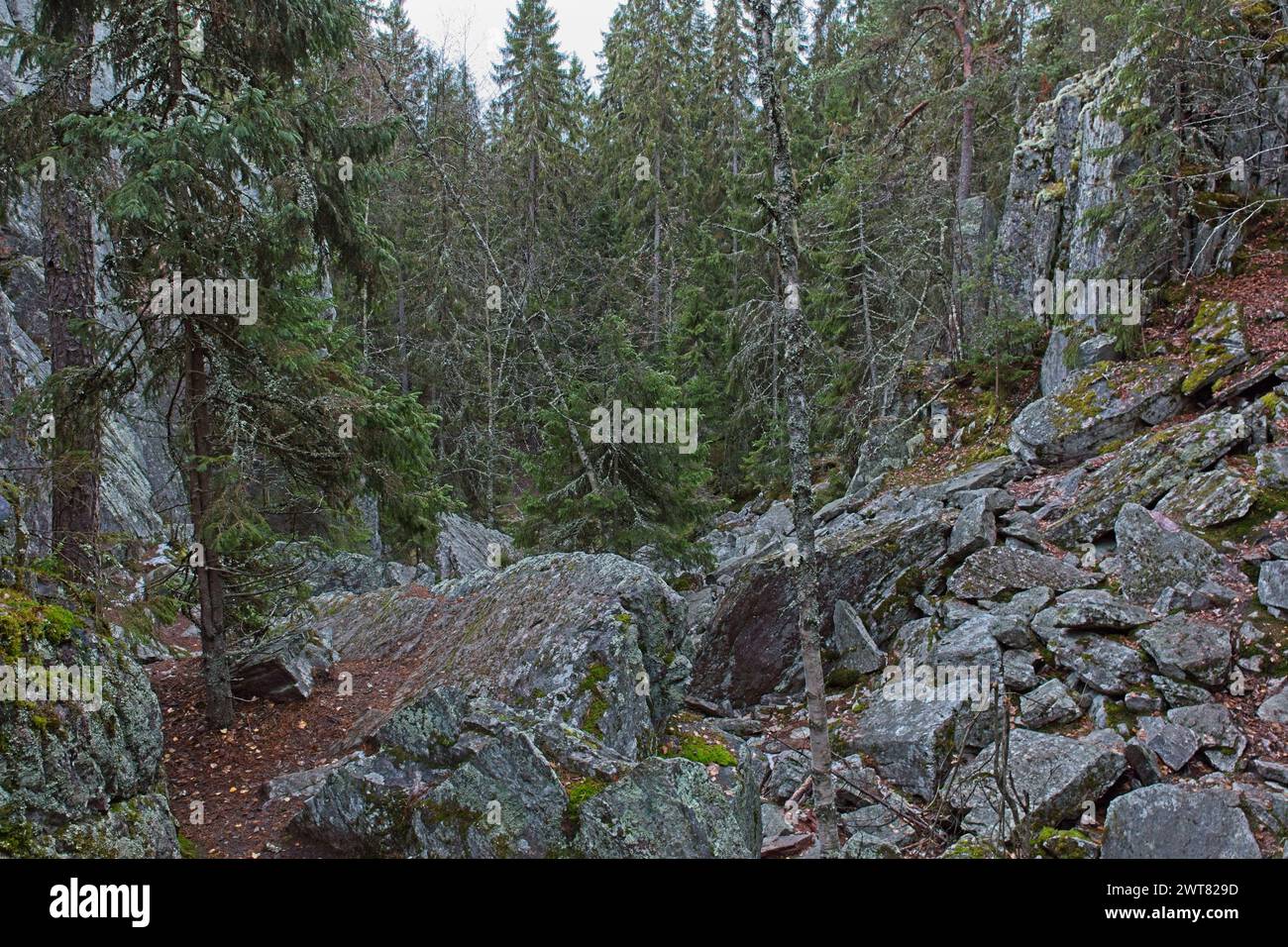 Pirunpesä (Devil´s Nest) is a gorge cutting through the quartzite ...