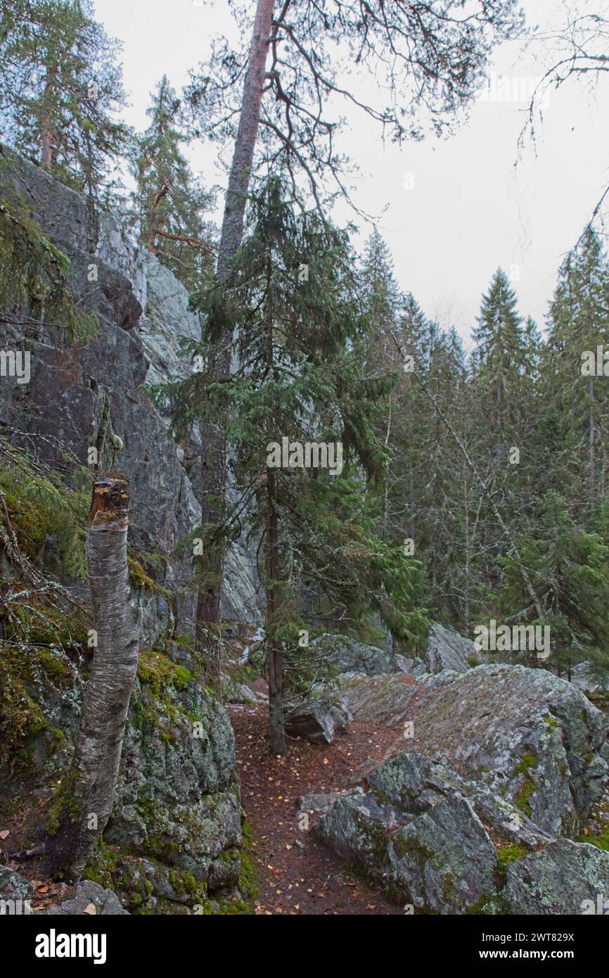 Pirunpesä (Devil´s Nest) is a gorge cutting through the quartzite ...