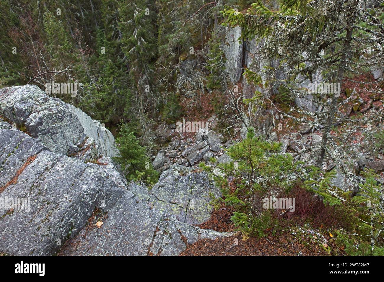 Pirunpesä (Devil´s Nest) is a gorge cutting through the quartzite ...