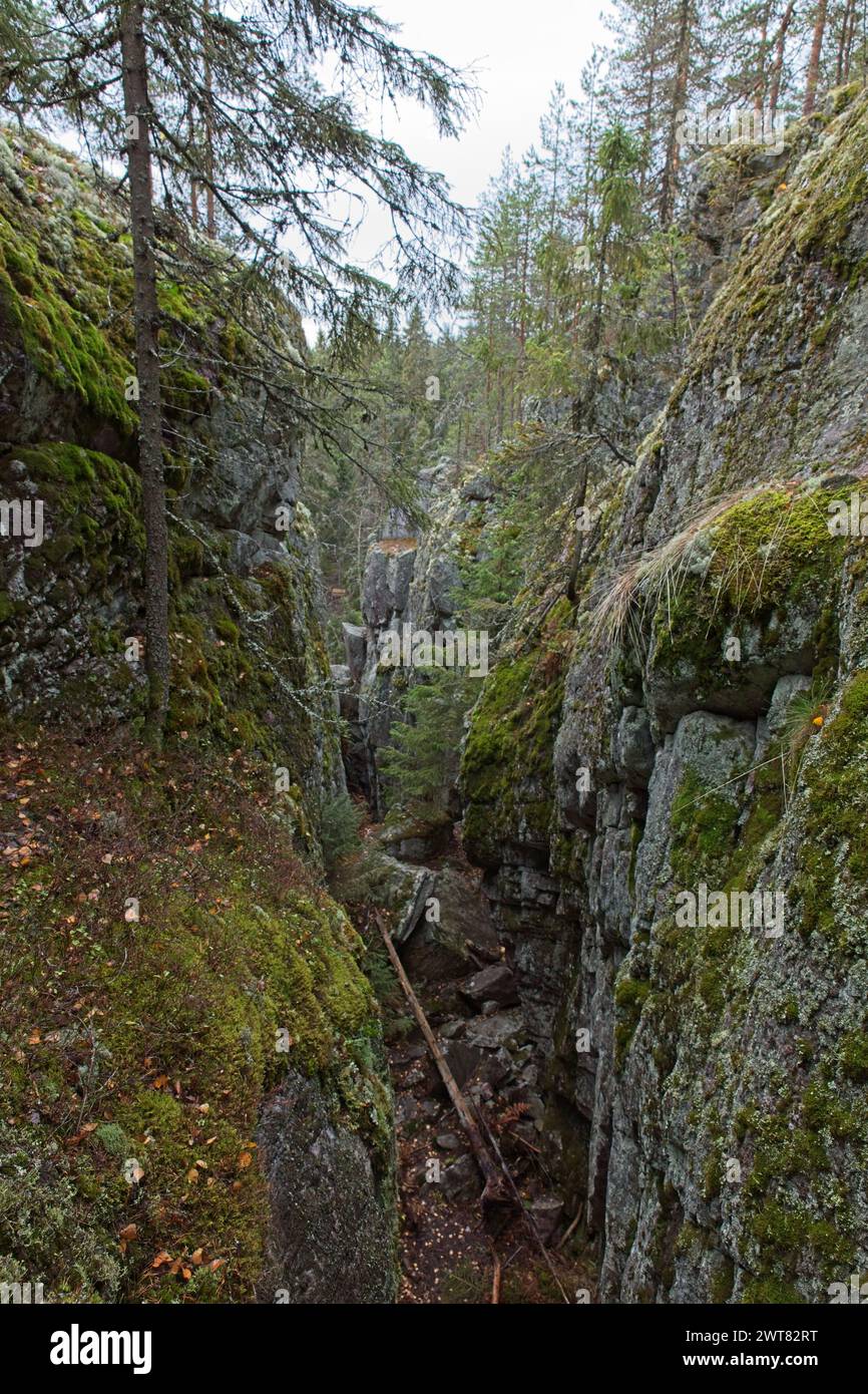 Pirunpesä (Devil´s Nest) is a gorge cutting through the quartzite ...