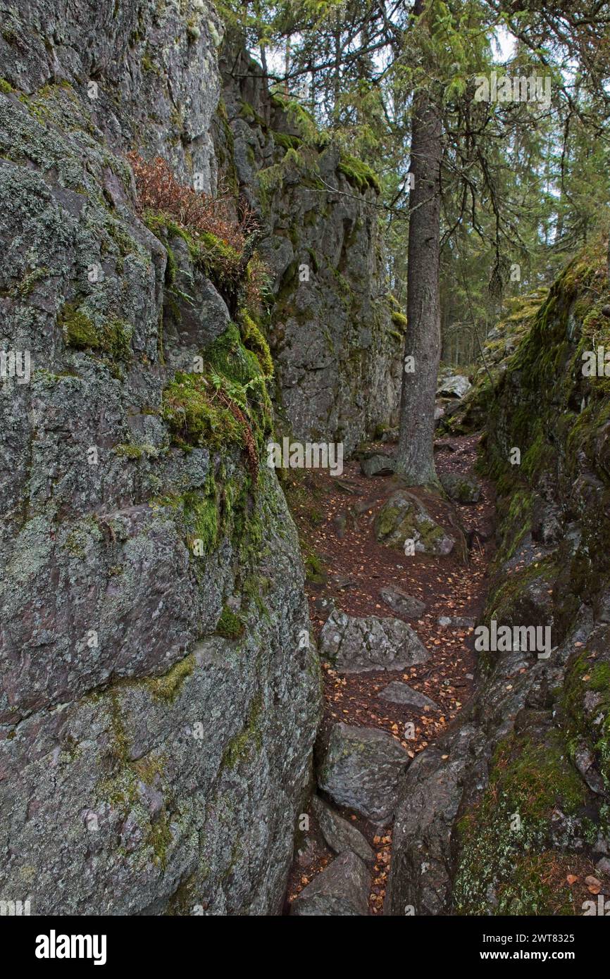 Pirunpesä (Devil´s Nest) is a gorge cutting through the quartzite ...