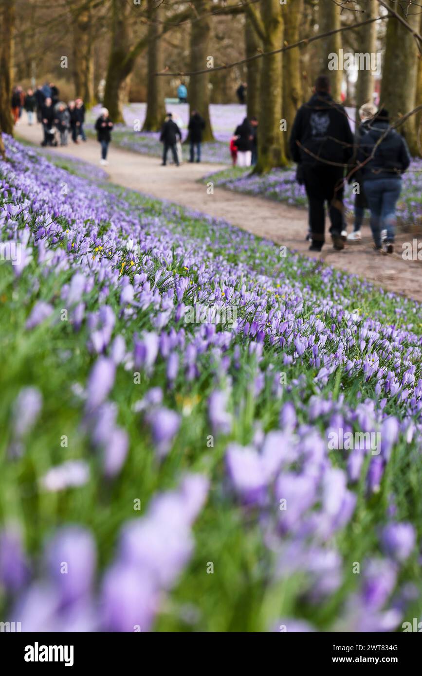 Husum, Germany. 16th Mar, 2024. People take a walk in the park at Husum ...