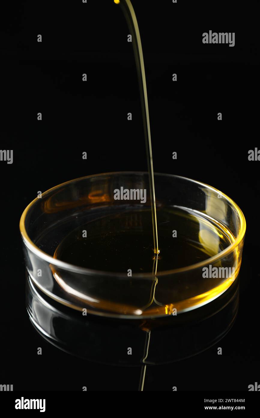 Pouring yellow oil into Petri dish on black background, closeup Stock ...