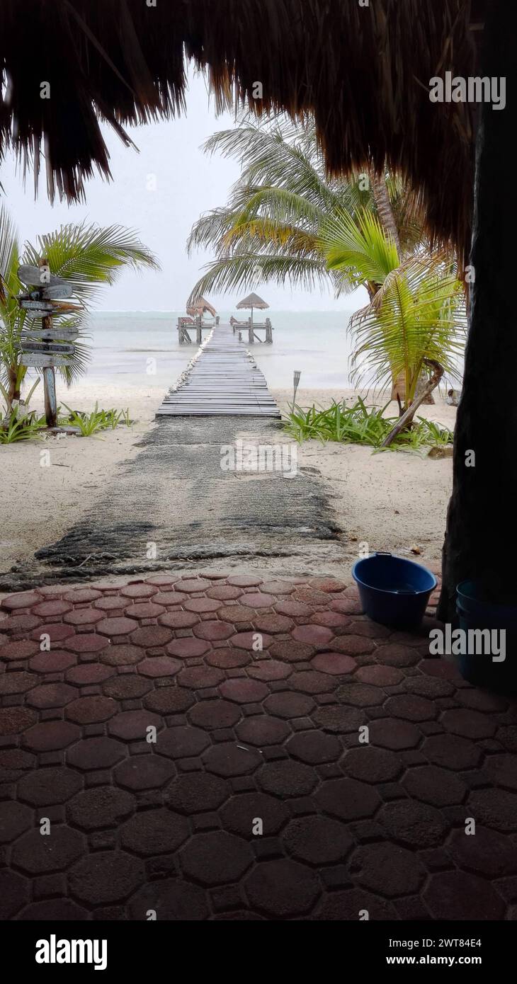 a traffic route or transport route as infrastructure for mobility ...