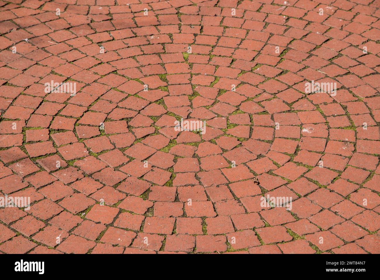Paving in park of red brick ceramic pavers closeup as background Stock ...