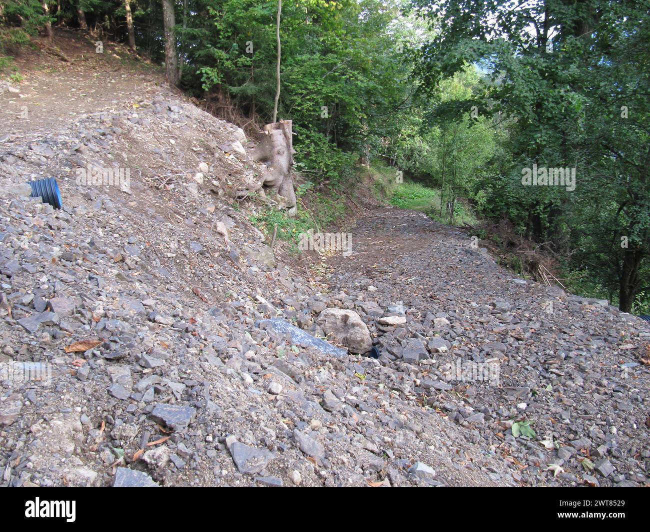 a traffic route or transport route as infrastructure for mobility ...