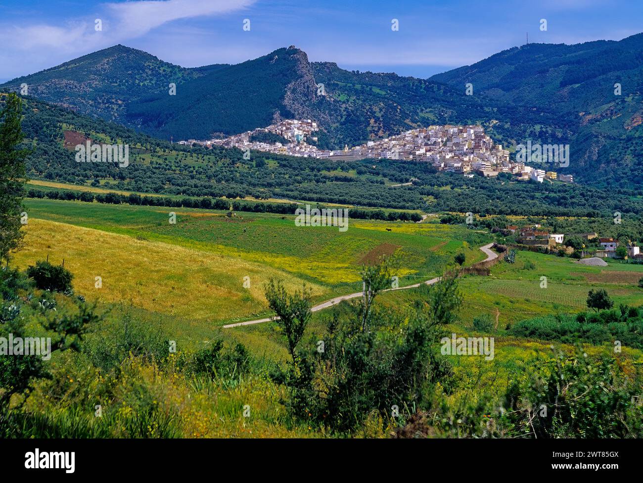 Moulay Idris, burial place of Idris I, founder of the first Arab-Muslim ...
