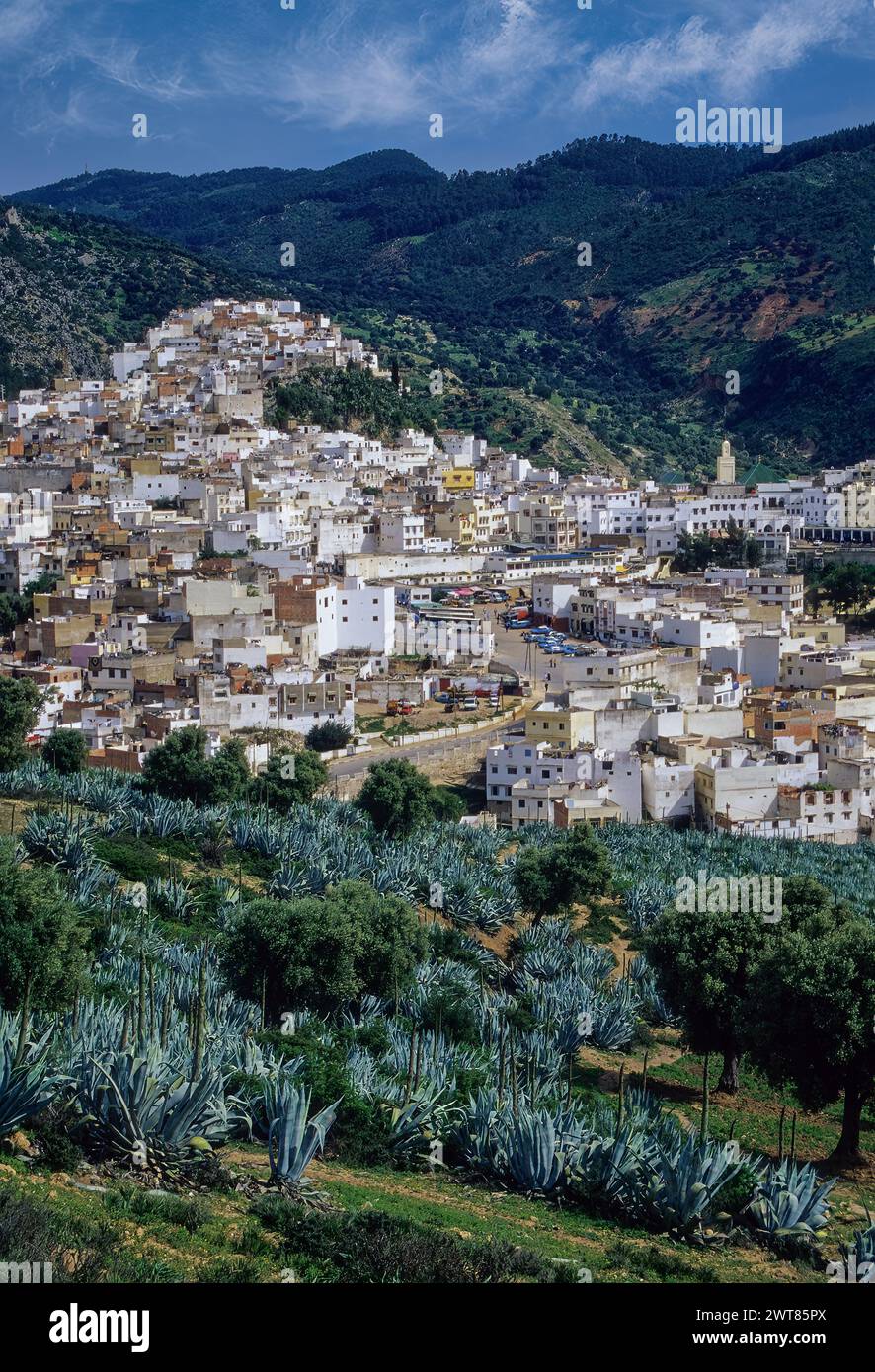 Moulay Idris, burial place of Idris I, founder of the first Arab-Muslim ...