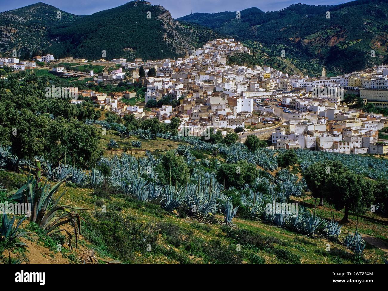 Moulay Idris, burial place of Idris I, founder of the first Arab-Muslim ...