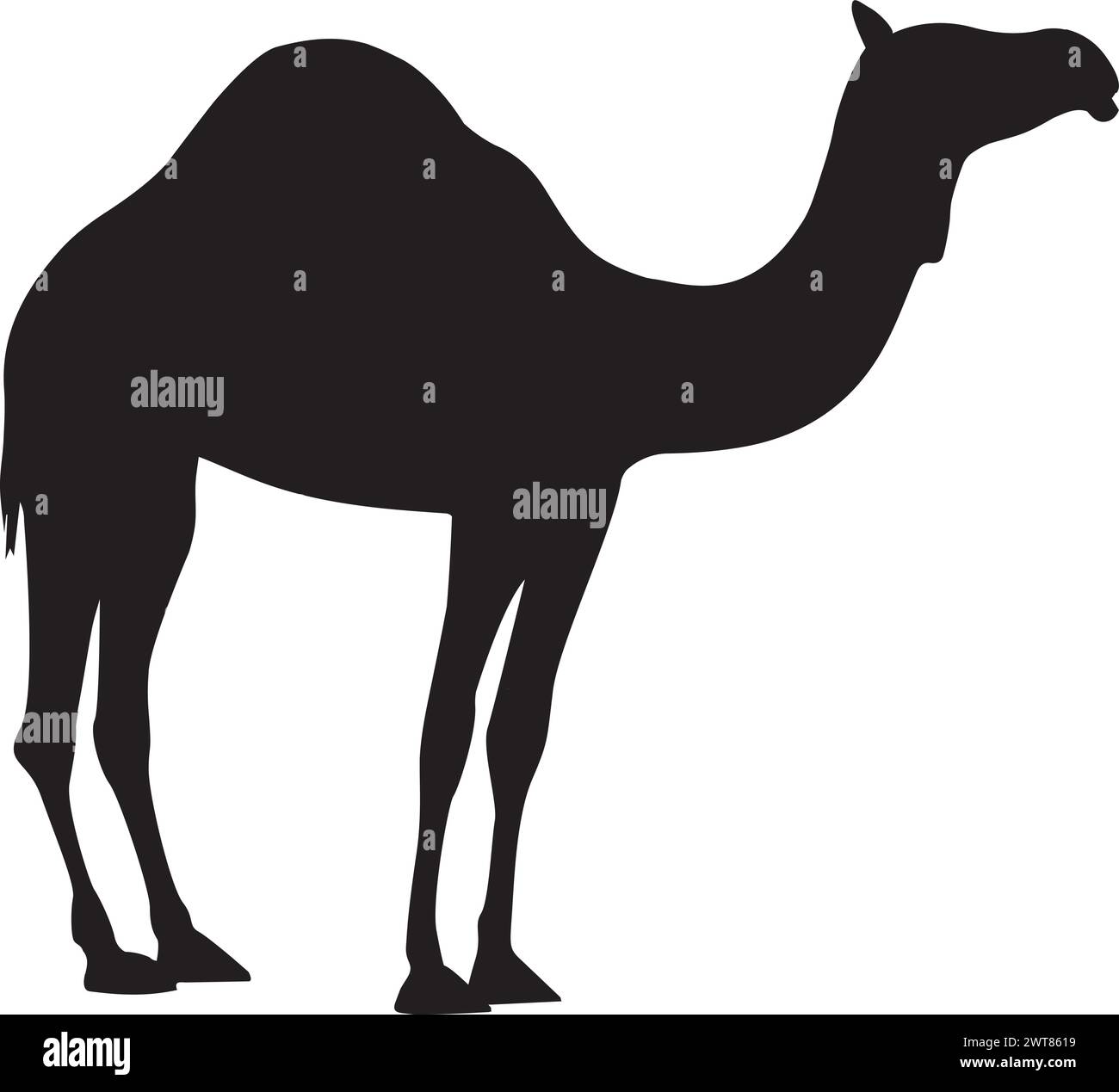 Camel vector illustration design, silhouette camel with black colour ...