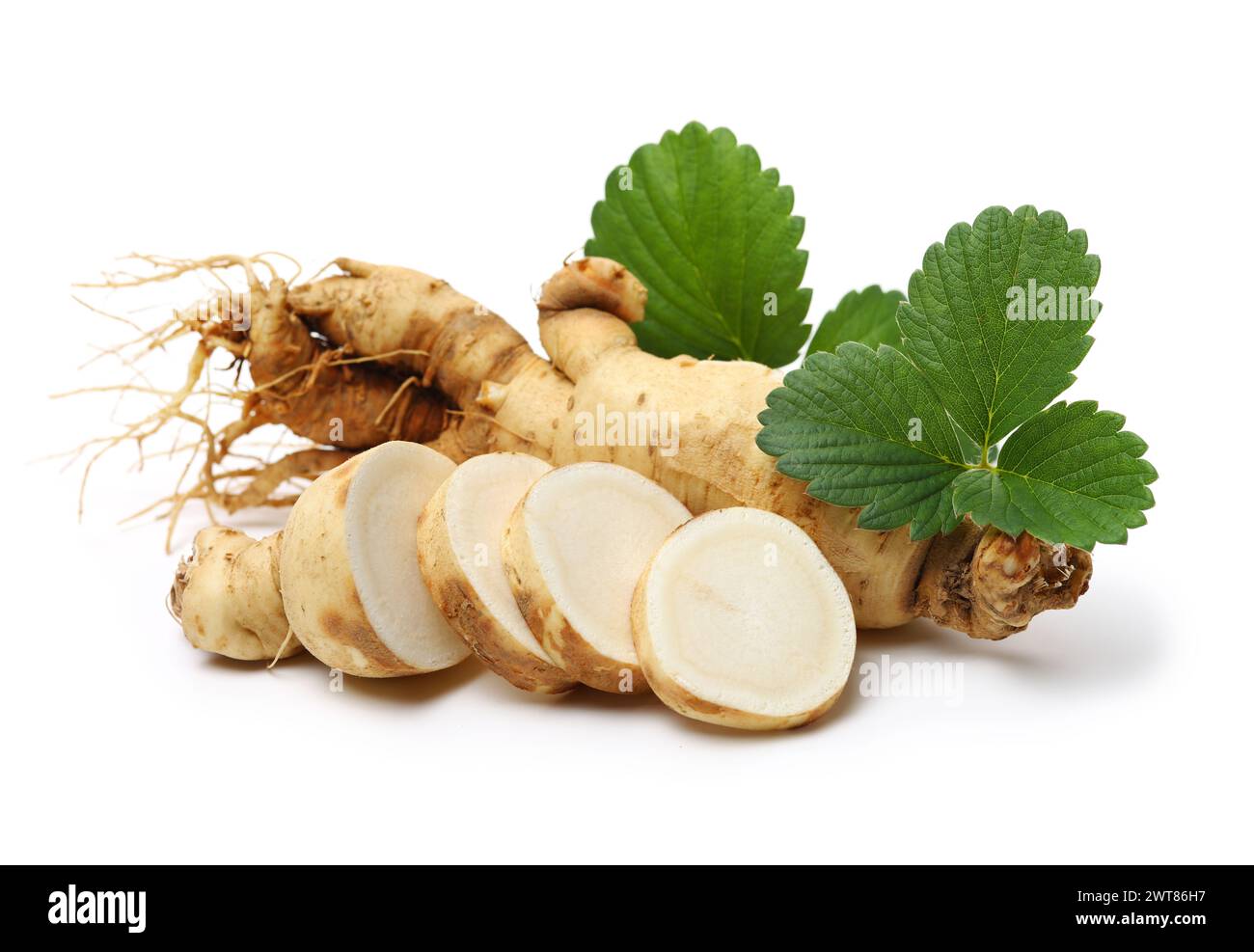 ginseng isolated on white background Stock Photo - Alamy