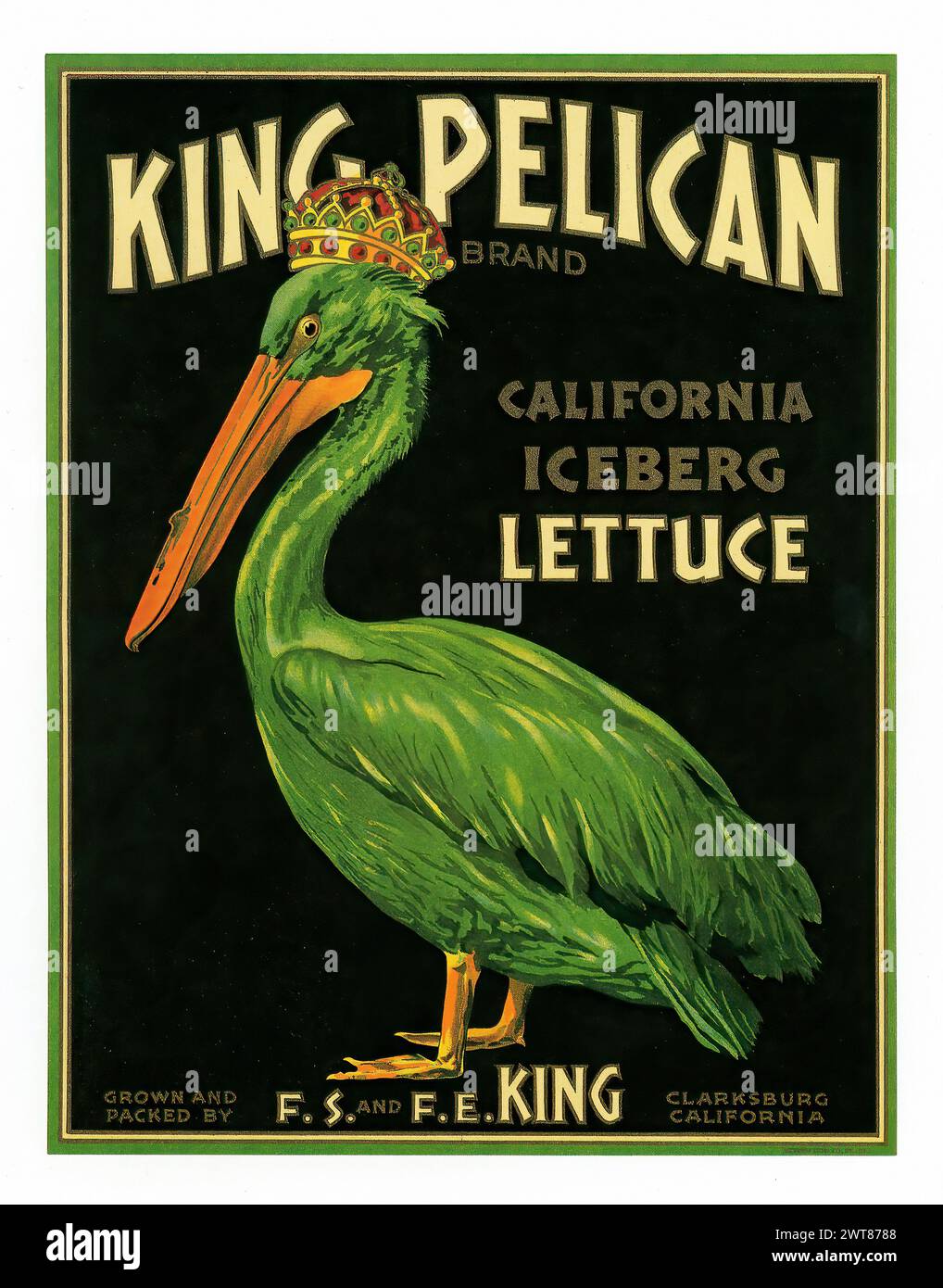 King Pelican - Vintage american magazine press advertising Stock Photo ...