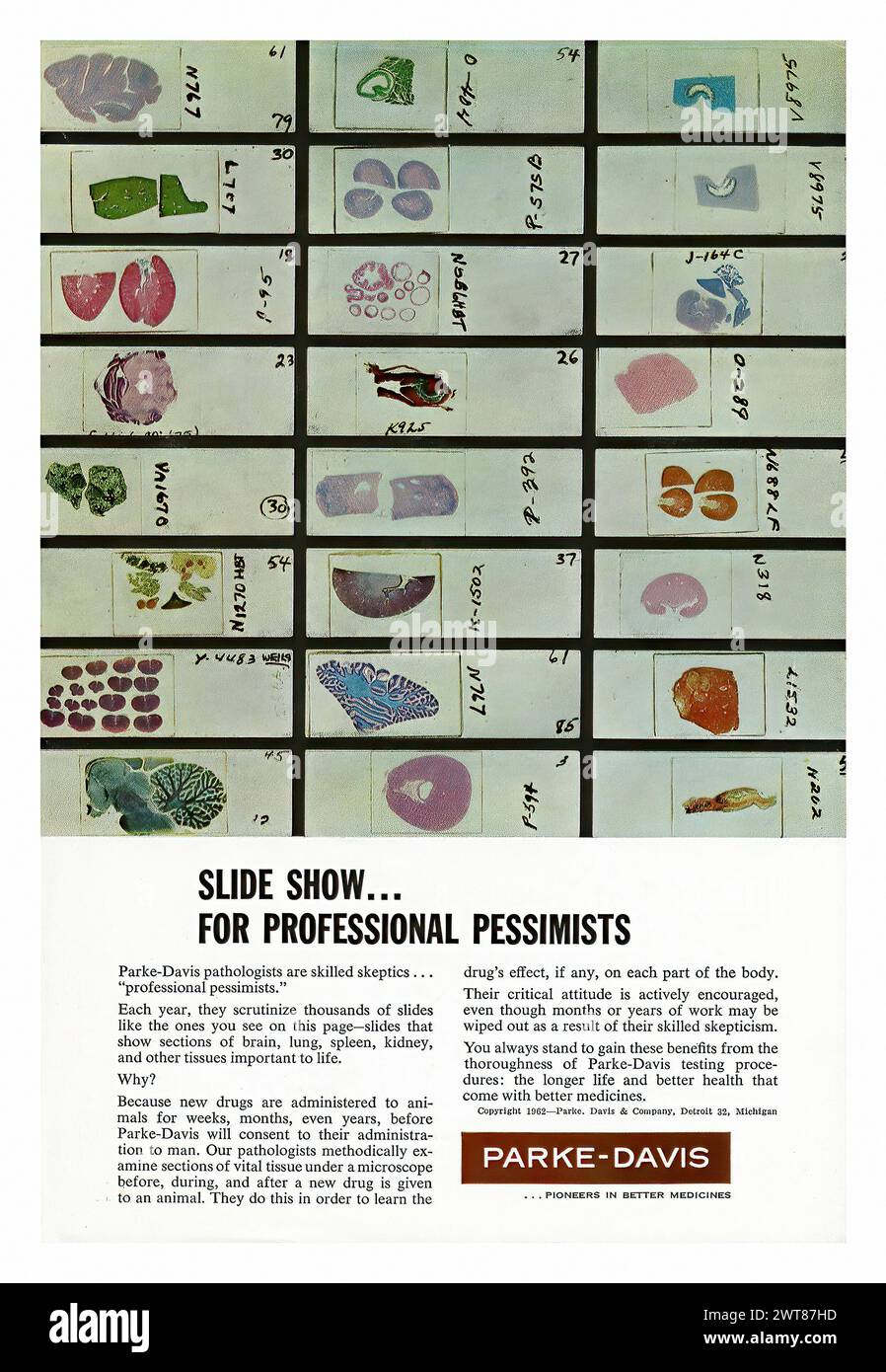 Parke-Davis (1962) - Vintage american magazine press advertising Stock ...