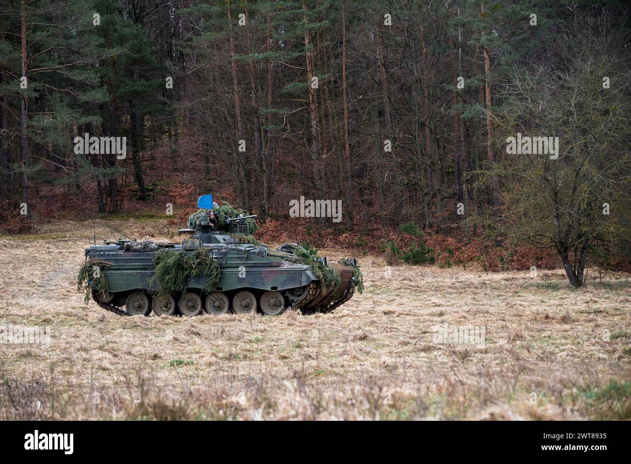 Hohenfels, Germany. 16th Mar, 2024. An SPZ Marder tank drives across ...