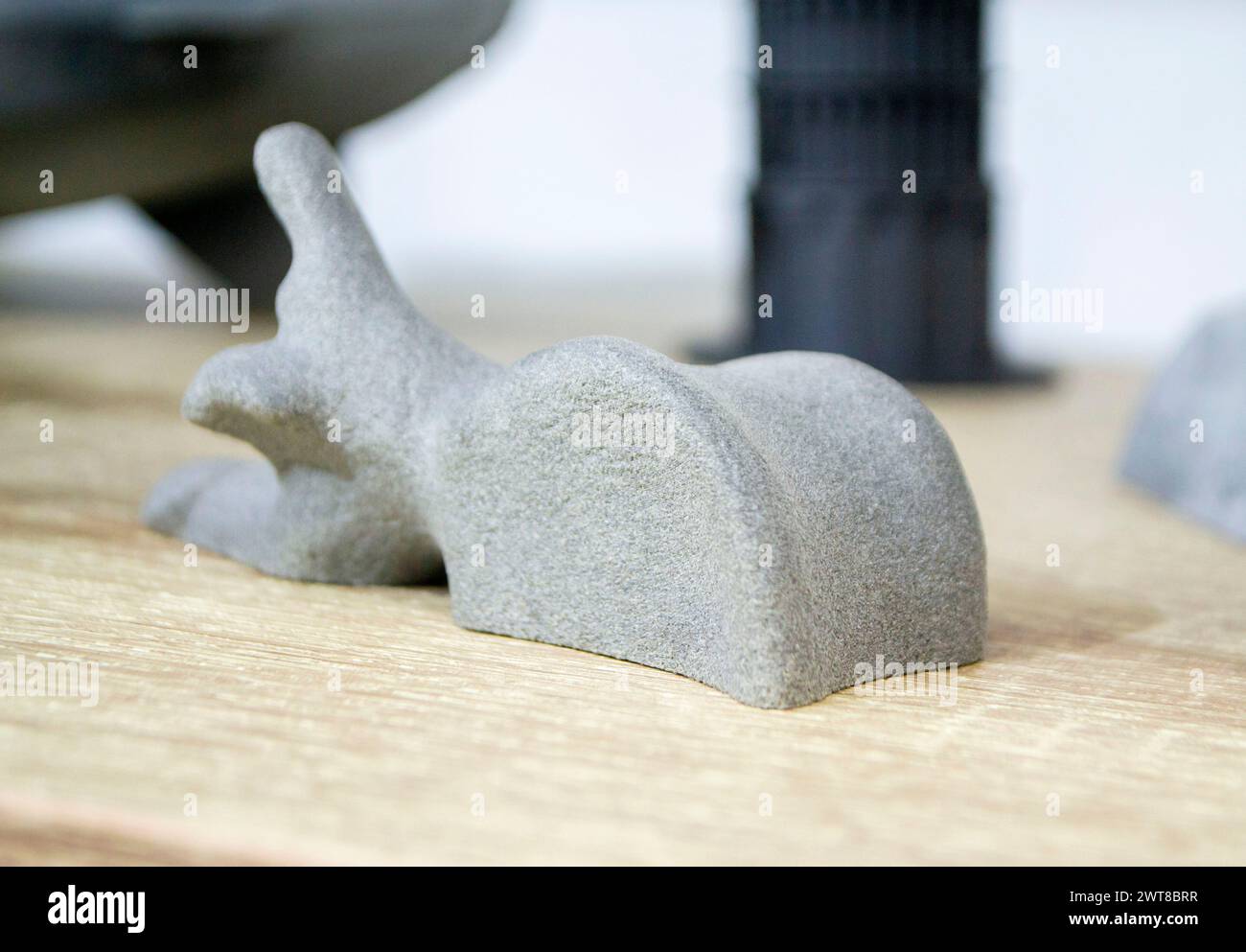 Prototype model of human vertebra 3D printed from polyamide powder ...