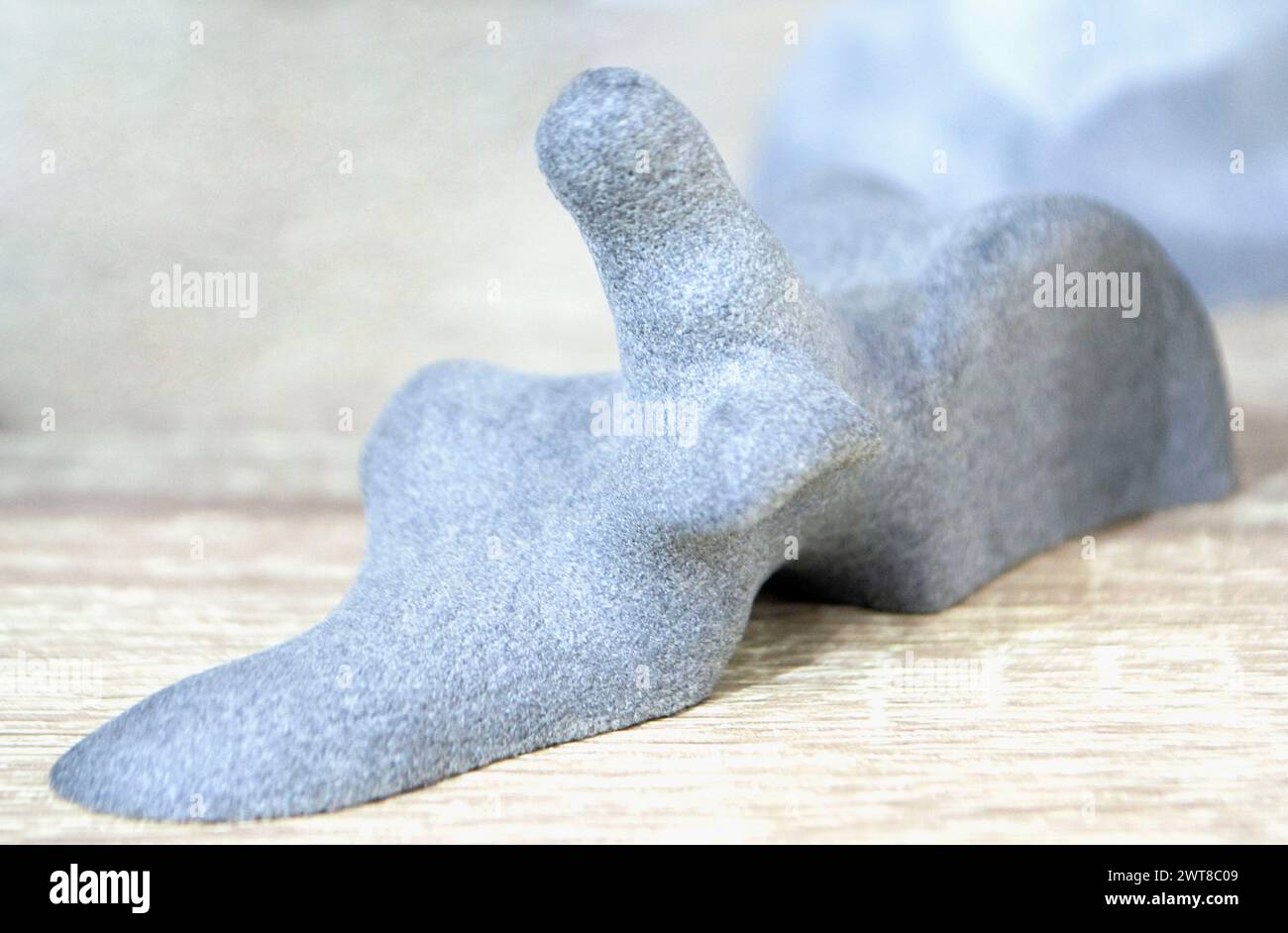 Prototype model of human vertebra 3D printed from polyamide powder ...