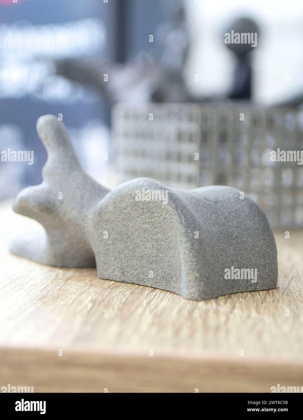 Prototype model of human vertebra 3D printed from polyamide powder ...