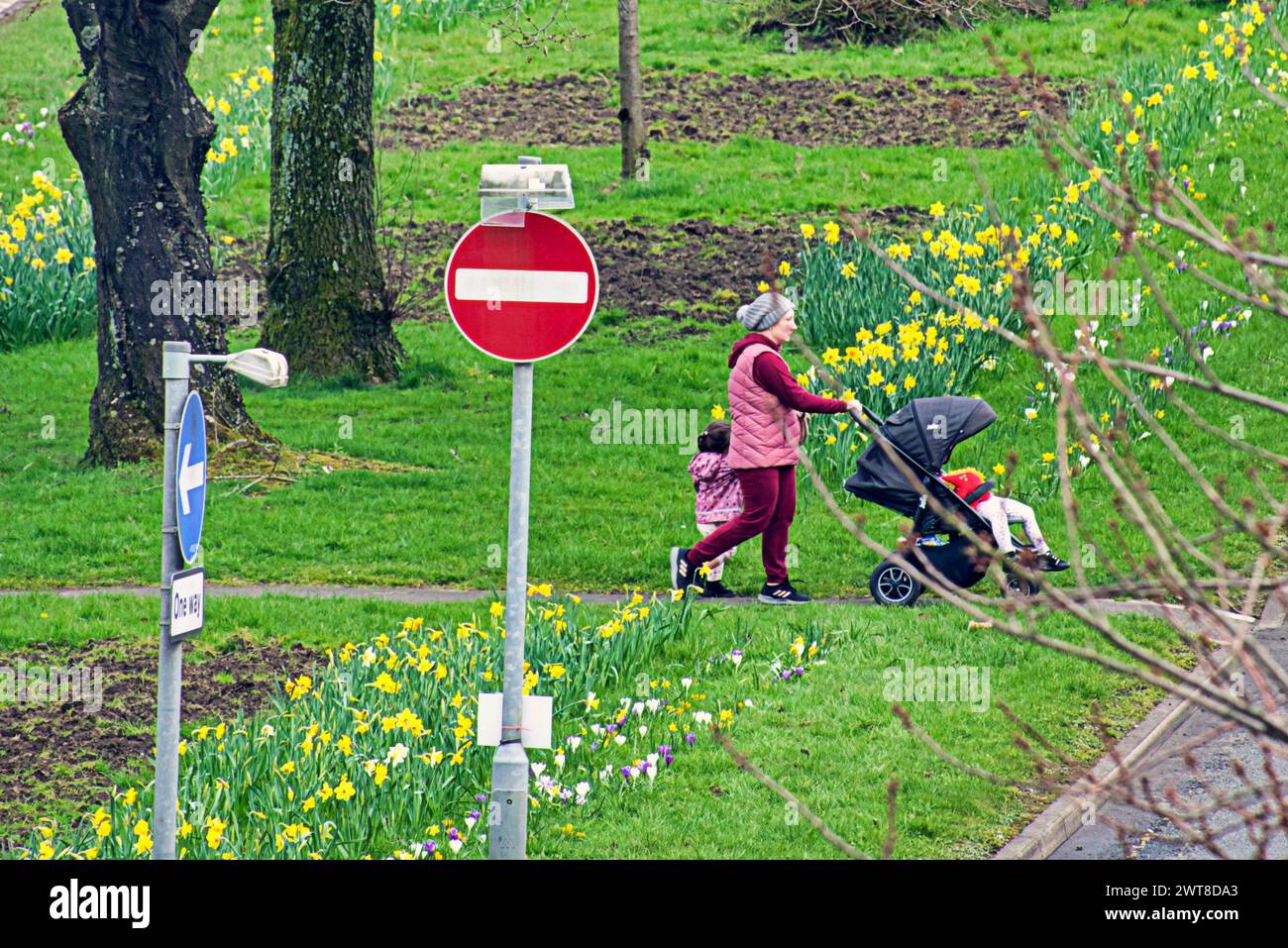 Glasgow, Scotland, UK. 16th March, 2024: UK Weather: Sunny spring ...