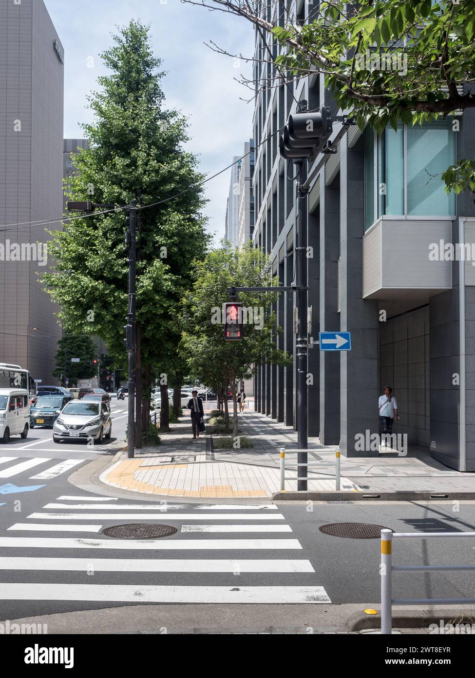 Tokyo, Japan - Urban Crosswalk and Tree-lined Street in the Business ...